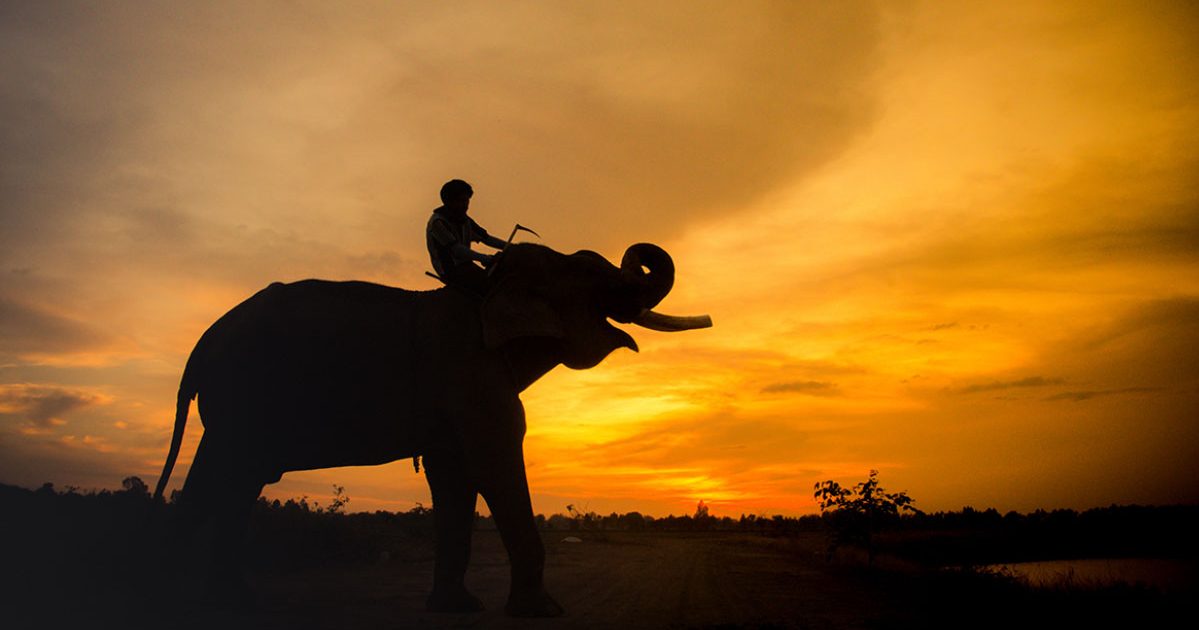 When It Comes To Change, You Are of Two Minds