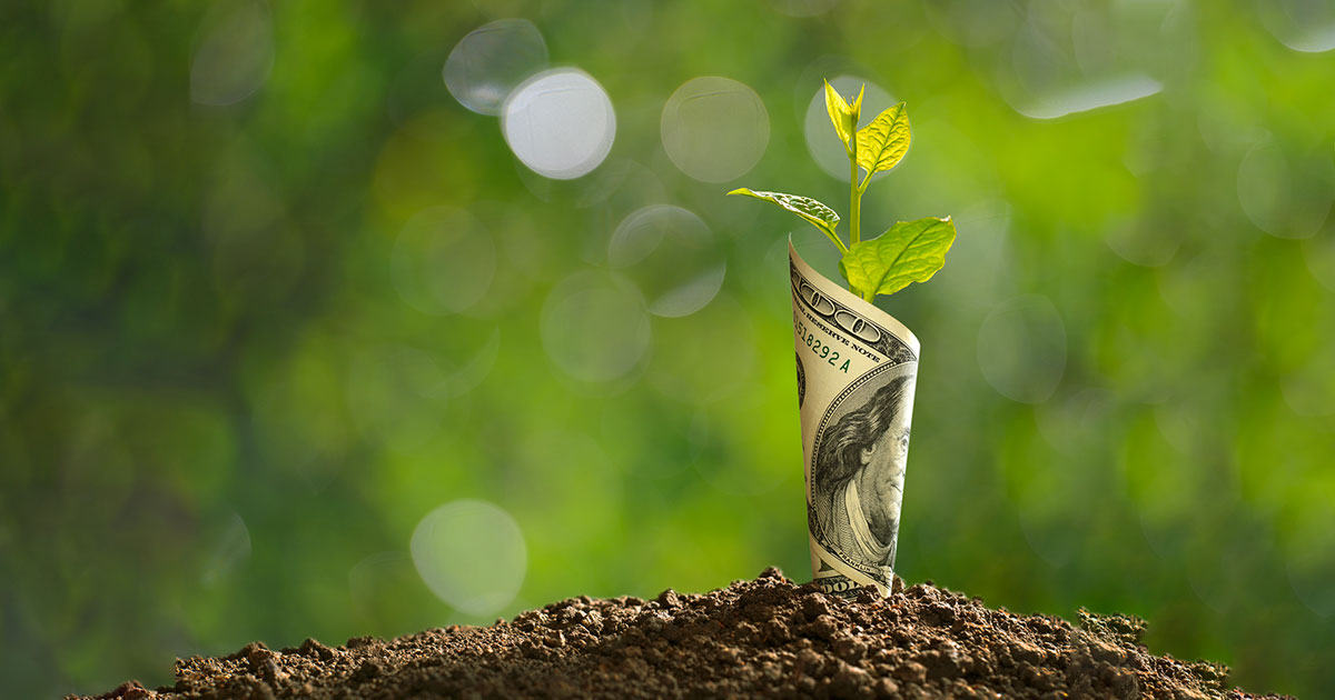 A strong US dollar - the implications for us